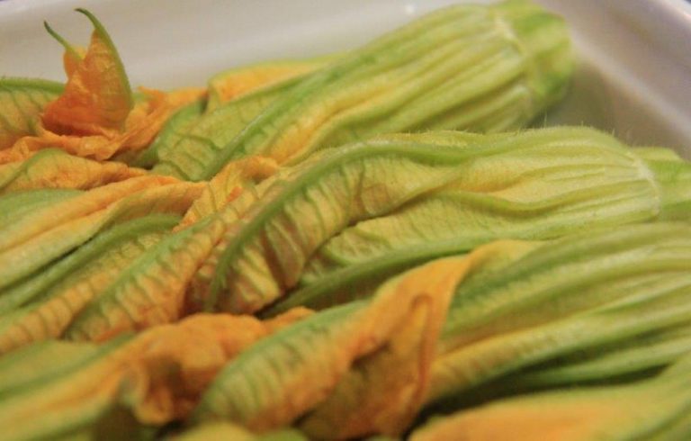 baked stuffed zucchini flowers