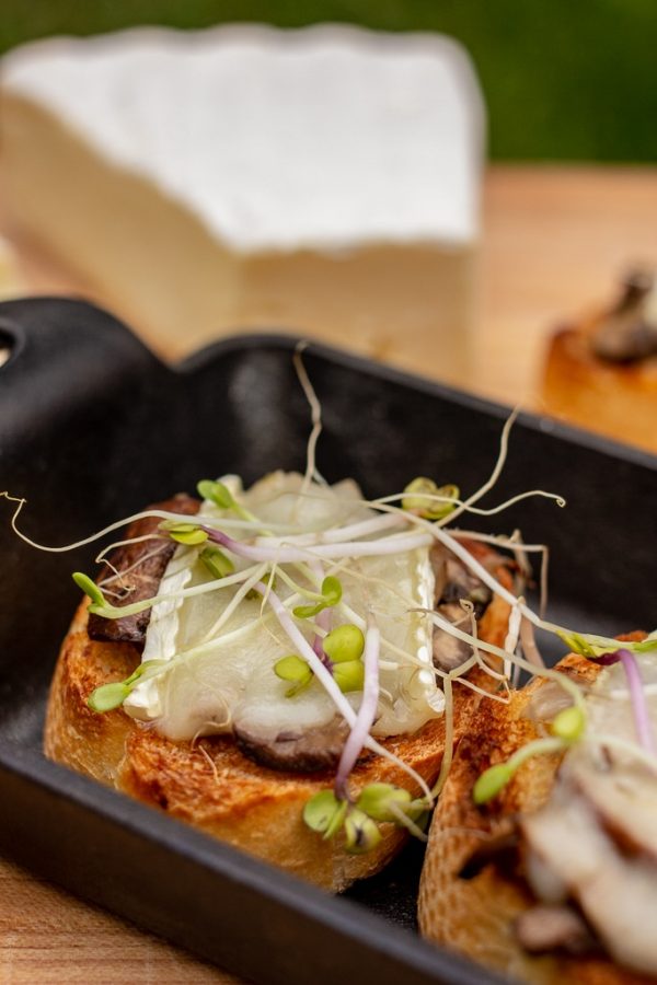 How to Enjoy the Best of French with this Easy Mushroom Brie Toastie ...